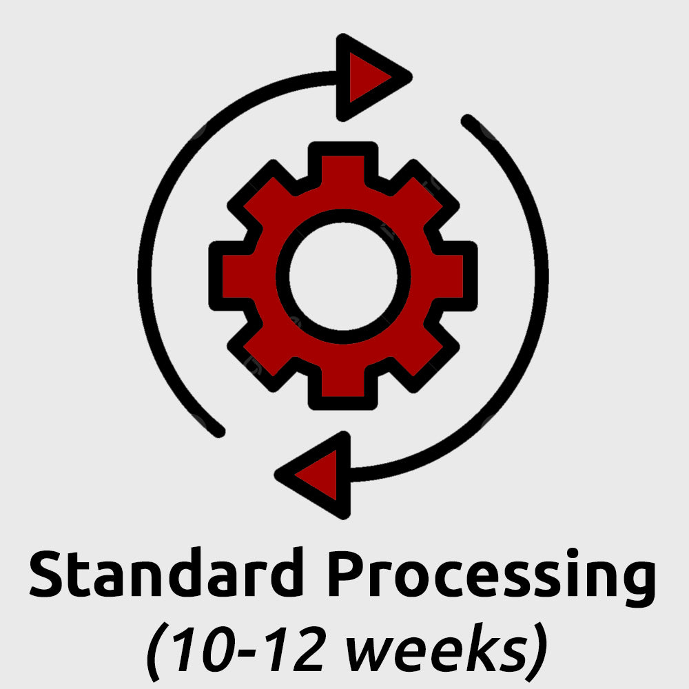 Processing Timeline – Transfer Home Movies